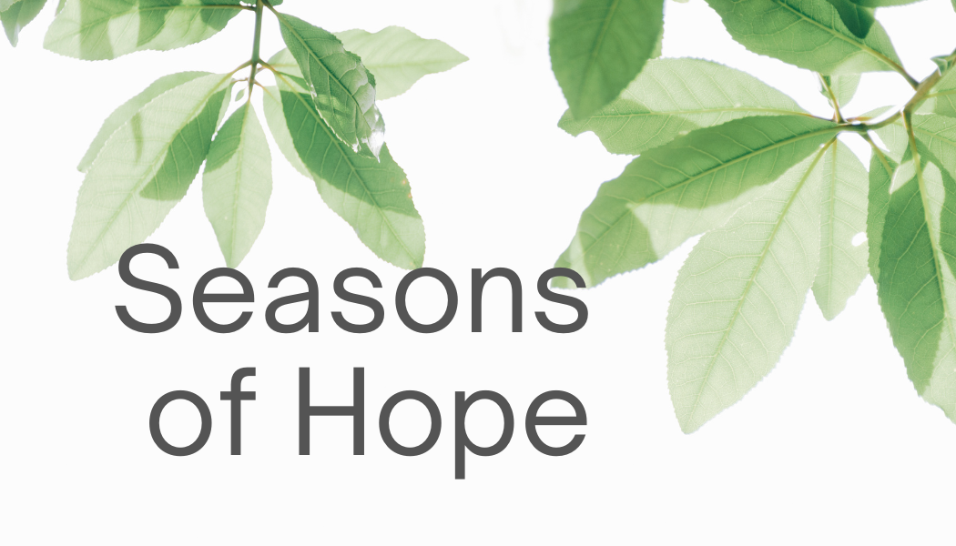 Seasons of Hope – A Group for Those Who are Grieving – St. John – St ...